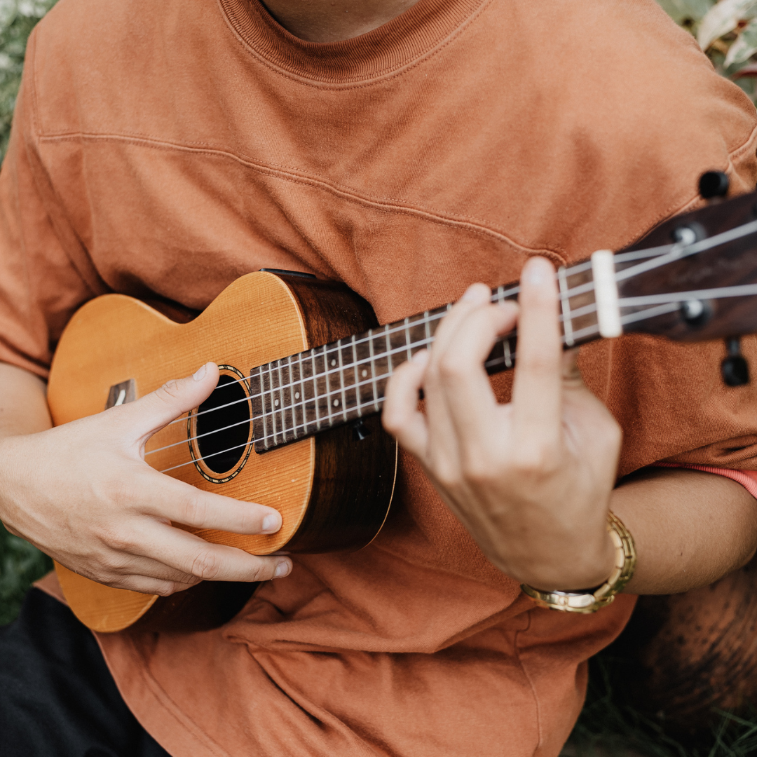 What is a Ukulele, and How Do I Choose One? – Telegraph Voice